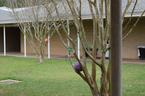 Leprechauns run amok at Choudrant Elementary School on St. Patrick’s ...