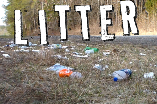 1,000 litter kit checkouts at 127 public libraries celebrated | Lincoln ...