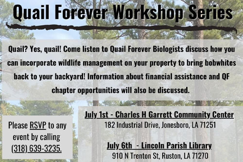 Quail Forever Workshop Series coming to Lincoln Parish Library on July ...