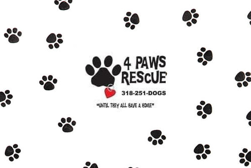 4 PAWS RESCUE VOLUNTEER OPPORTUNITIES | Lincoln Parish Journal