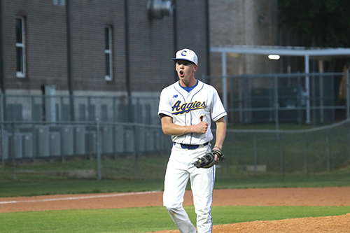 Aggies, Tigers earn LSWA all-state baseball, softball honors | Lincoln ...