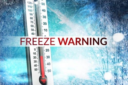Hard freeze warning starts tonight | Lincoln Parish Journal