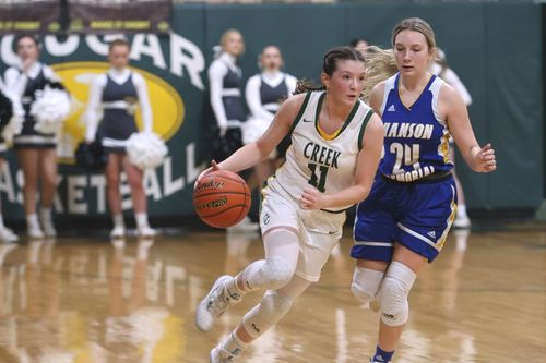 Lady Cougars cruise to hoops quarterfinals | Lincoln Parish Journal