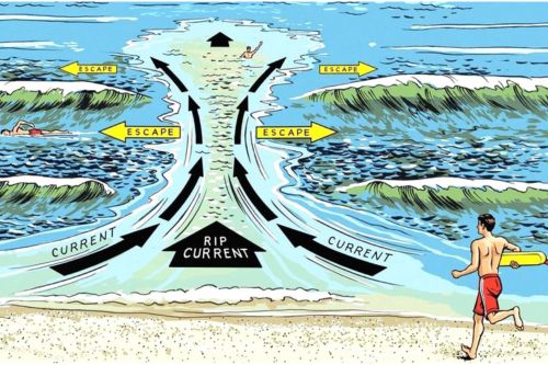 Knowledge key to coastal swimming safety | Lincoln Parish Journal