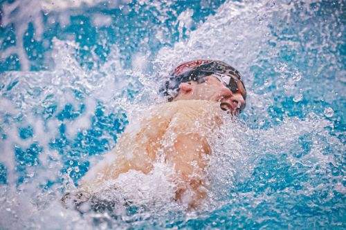 Area swimmers shine in state championship meet | Lincoln Parish Journal