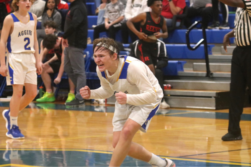 Carrico leads Aggies past Reeves in playoff barnburner | Lincoln Parish ...