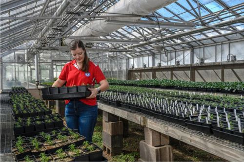Tech’s fragrant, colorful greenhouses featured in state journal ...
