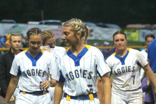 Lady Aggies fall in playoff showdown vs. Stanley | Lincoln Parish Journal