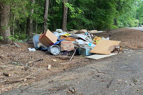 Area organizations, municipalities teaming up Saturday for Love the ...