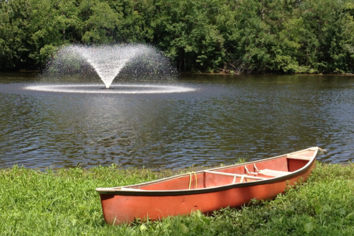 Fish pond management workshop set for Friday | Lincoln Parish Journal