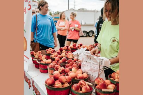 74th annual Louisiana Peach Festival set for June 1 | Lincoln Parish ...