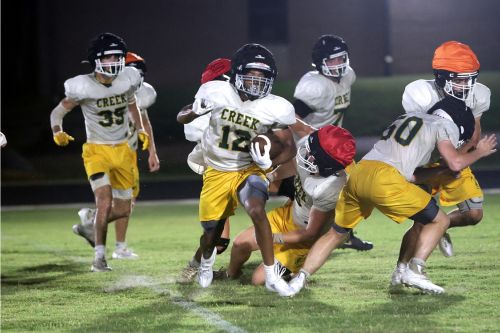 Cougar fans see youth movement in intrasquad scrimmage | Lincoln Parish ...