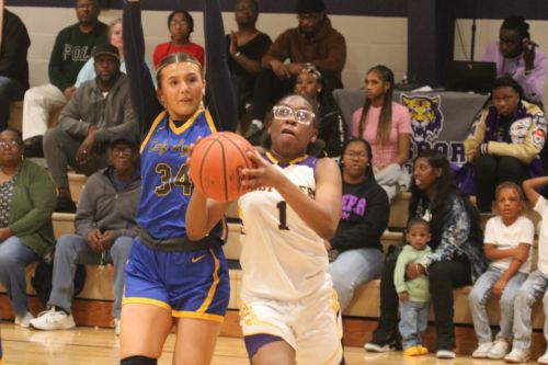 Lady Tigers ride strong start to win over Aggies | Lincoln Parish Journal