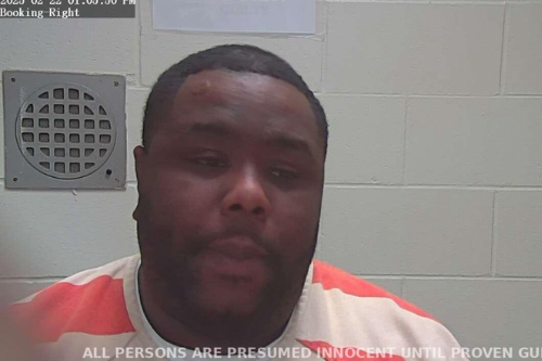 Man fires shot during domestic incident | Lincoln Parish Journal