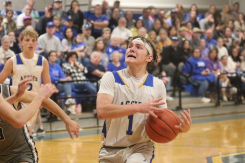 ICYMI: Aggies advance with opening-round win | Lincoln Parish Journal