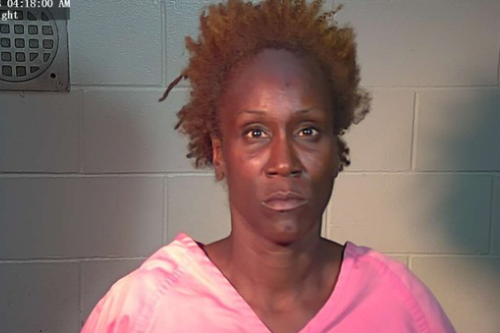 Gunshots take police to Ruston neighborhood | Lincoln Parish Journal