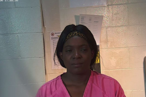 Woman gives false name to avoid arrest | Lincoln Parish Journal