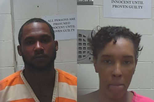 Two charged with numerous drug, gun violations | Lincoln Parish Journal