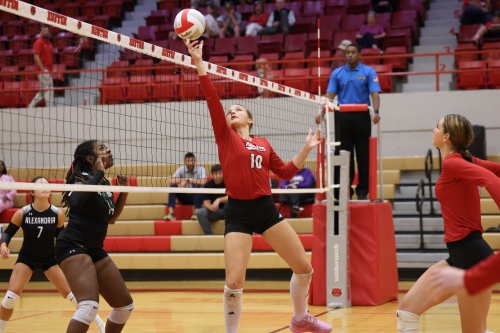 Lady Bearcats draw Barbe for postseason opener | Lincoln Parish Journal