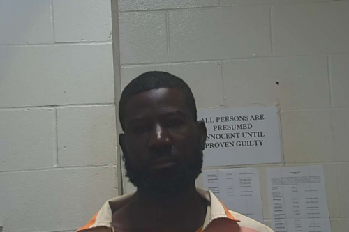 Man punches officer during investigation | Lincoln Parish Journal