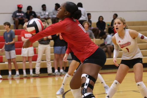 Lady ‘Cats season ends at Barbe | Lincoln Parish Journal