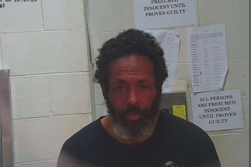 Texas man charged with taking all-terrain vehicle | Lincoln Parish Journal