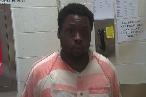 Assault suspect resists police | Lincoln Parish Journal