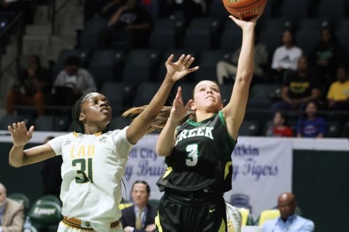 Cedar Creek quartet earn all-district honors | Lincoln Parish Journal